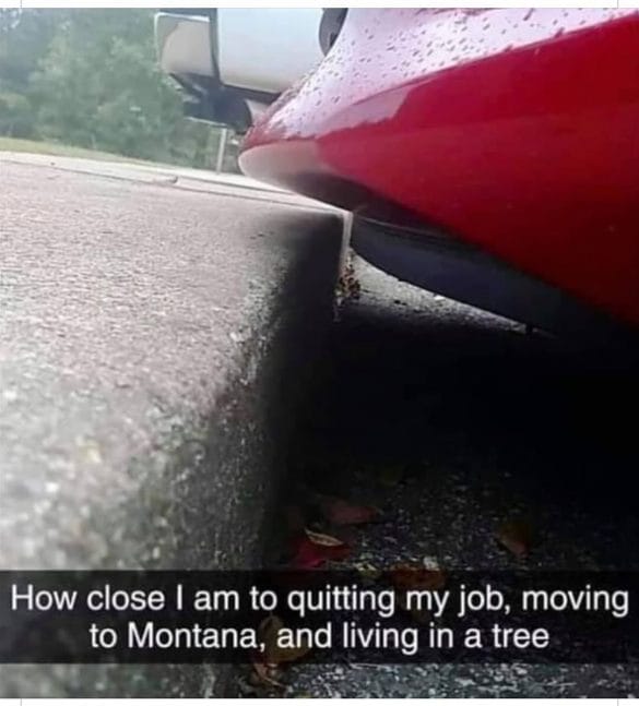 We gaan 2020 overleven dankzij deze 47+ leuke memes