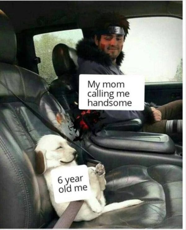 Met een meme generator kun je jouw eigen memes maken