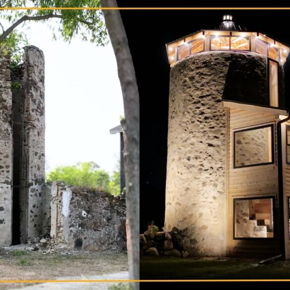 De ezel waarop "Ezel" uit Shrek gebaseerd is, sterft op 30 jarige ...