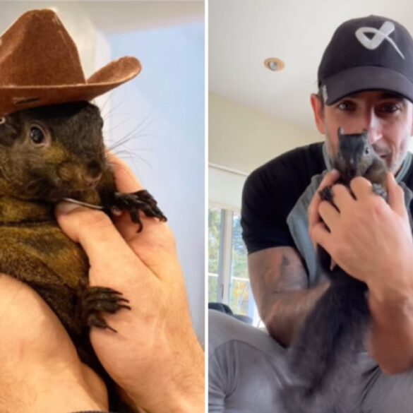 Thomas Vd Leck helpt jonge ondernemers succesvol te worden!