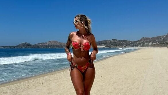 Google Introduceert eigen "Vibe Code"-AI genaamd: Opal - Daily Base